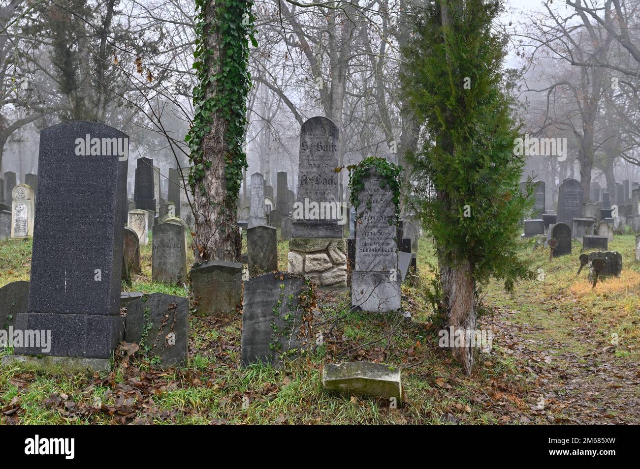 Vienna, Austria. Vienna Central Cemetery. The Jewish department at the ...