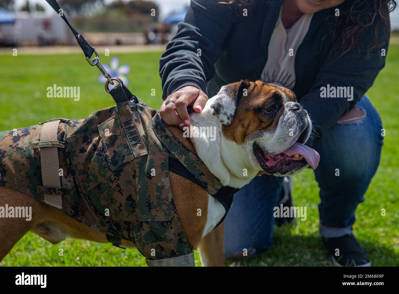 U.S. Marine Corps Cpl. Manny, Marine Corps Recruit Depot San Diego and ...