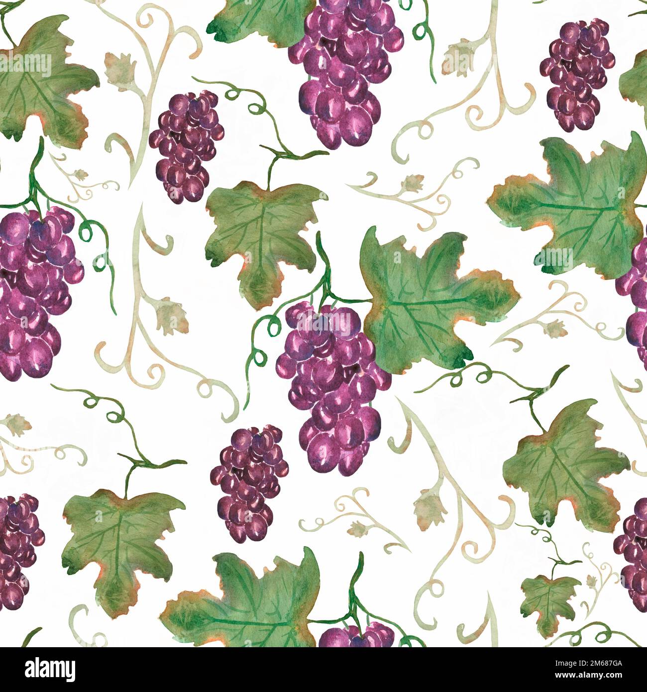 Classic vintage fruit pattern with grapes.Seamless pattern with leaves ...