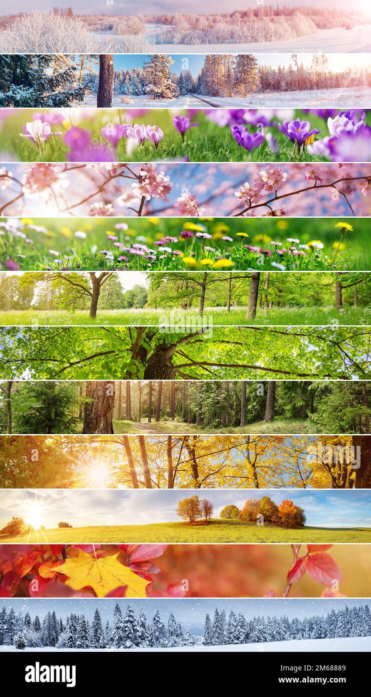 Collage of the panoramic photos of the twelve months of the year Stock ...