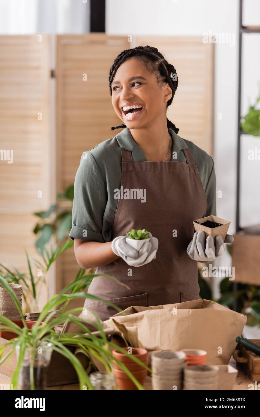 african american florist with plant and flowerpot laughing while ...