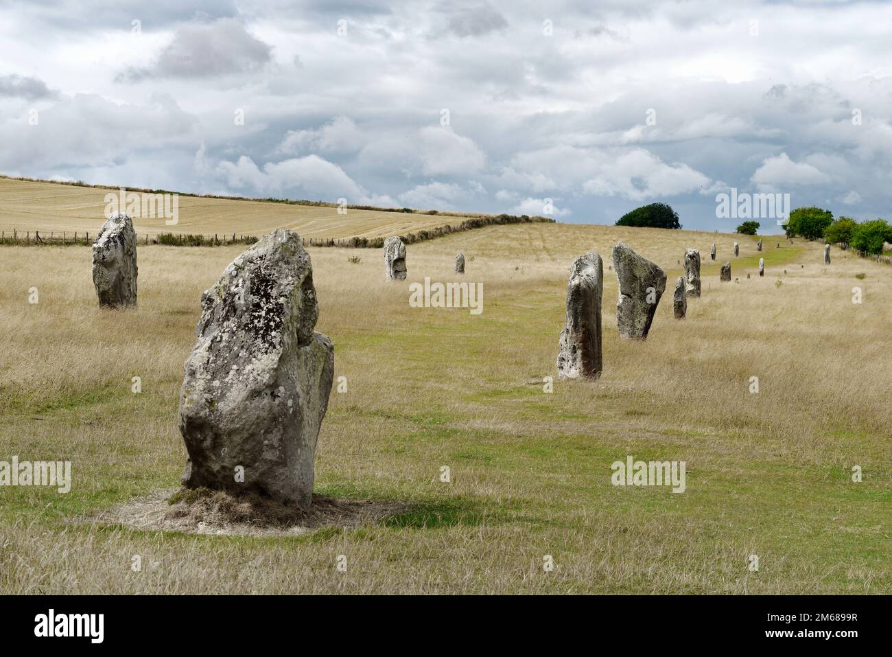 The West Kennet Avenue approach to Avebury Neolithic henge and stone ...