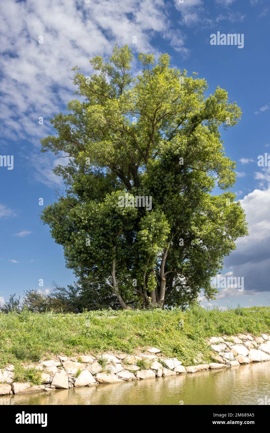 Canal built between Morava part of Czech and Slovakia by Bata ...