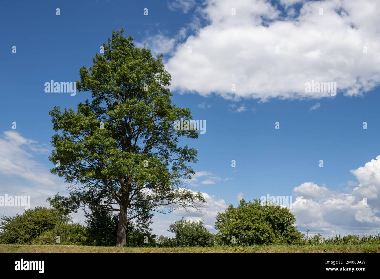 Canal built between Morava part of Czech and Slovakia by Bata ...