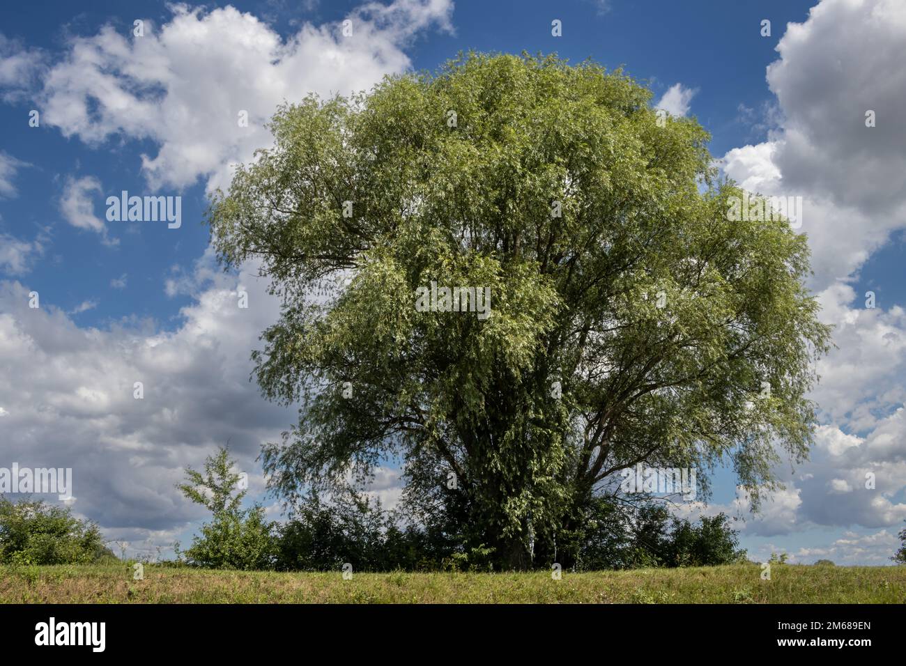 Canal built between Morava part of Czech and Slovakia by Bata ...