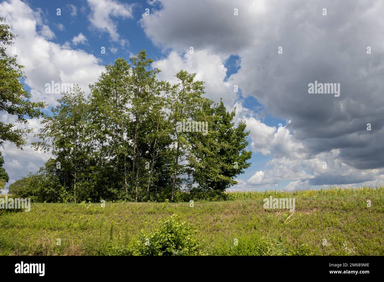 Canal built between Morava part of Czech and Slovakia by Bata ...