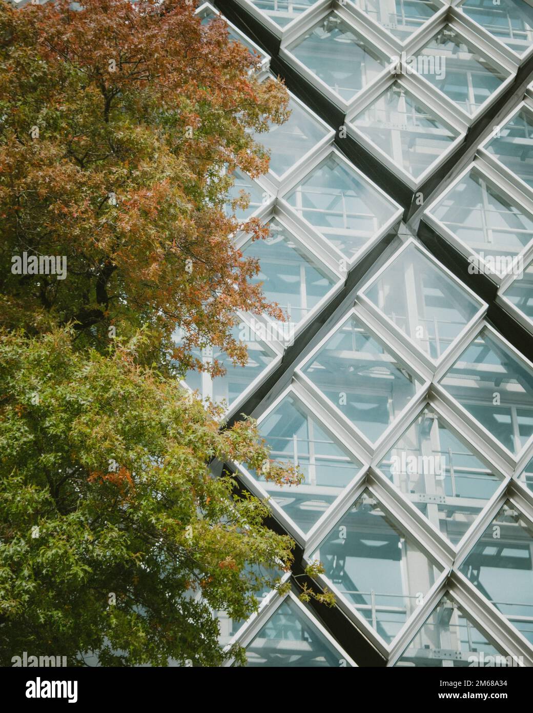 A vertical shot of diamond shaped glass facade of an apartment building ...