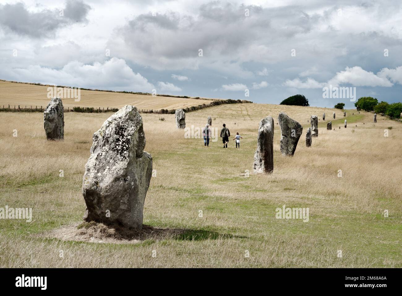 The West Kennet Avenue approach to Avebury Neolithic henge and stone ...