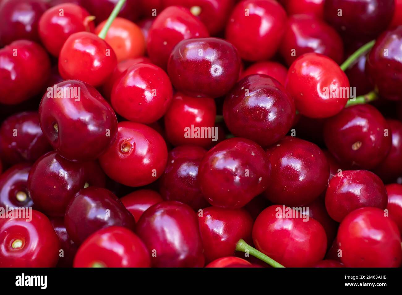 Cherry background. Cherry top view. Sour cherry flat design. Fruit ...