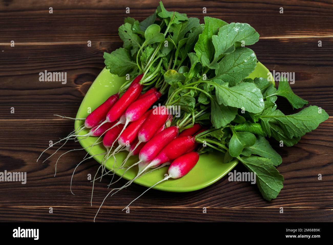 Summer harvested red radish on plate. Growing organic vegetables. Large ...