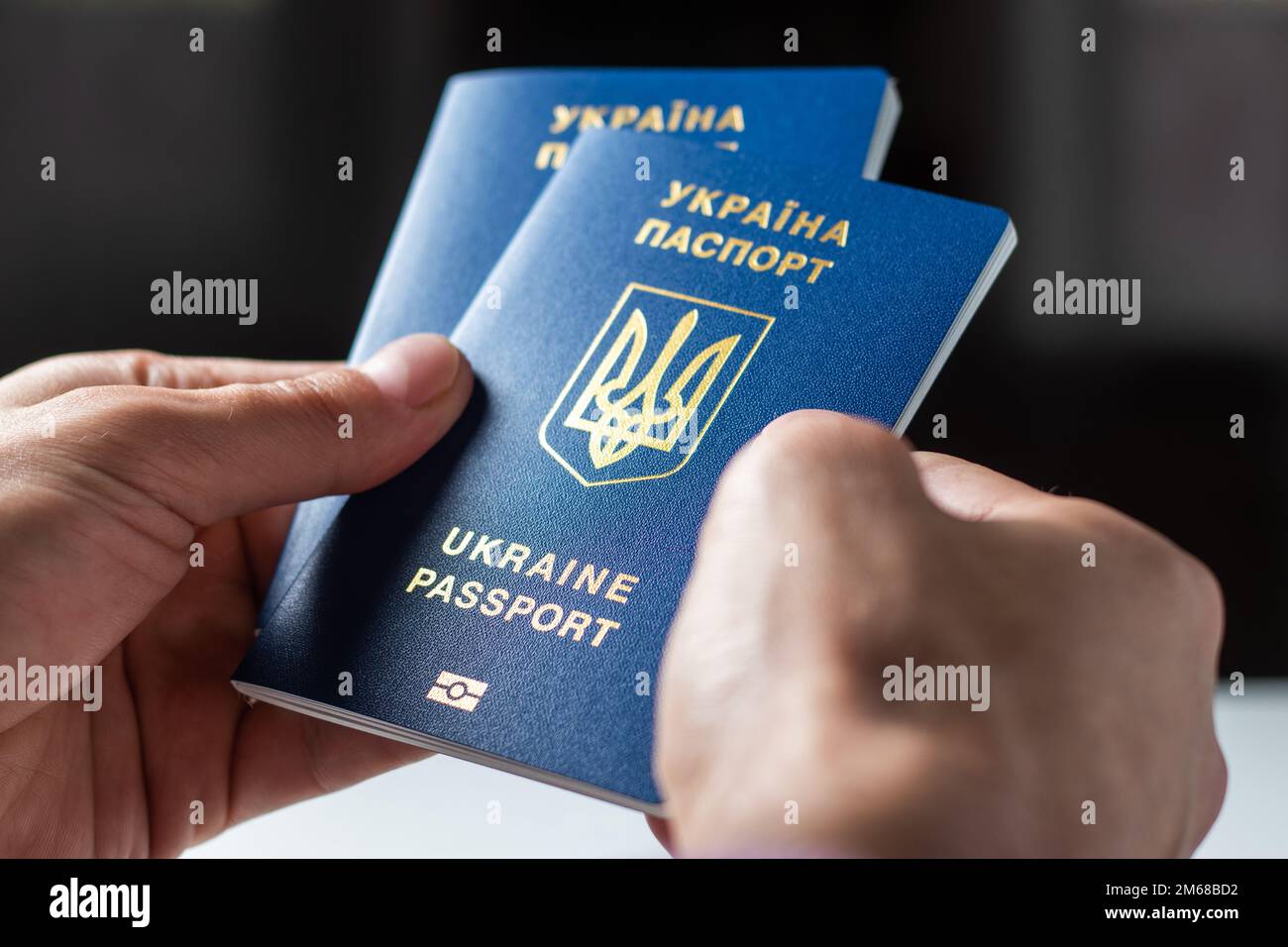 New ukrainian blue biometric passport with identification chip in hands ...