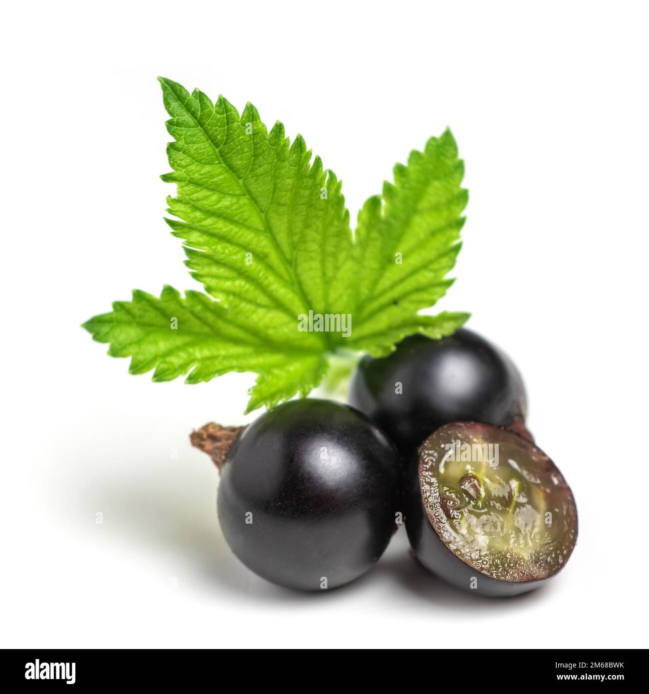 Group of black currants with leaves, one sliced in half Stock Photo - Alamy
