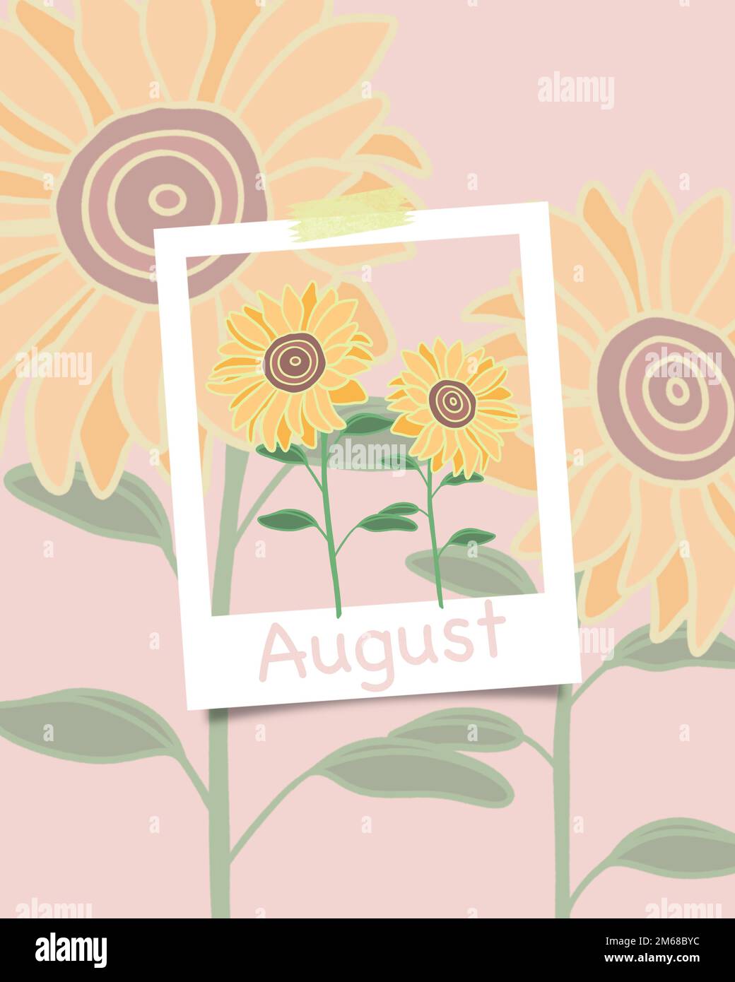 Minimalist flat floral illustration of sunflowers in August. August ...