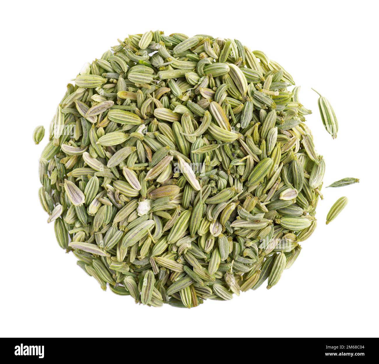 Fennel seeds isolated on white background. Green fennel grains. Spices ...