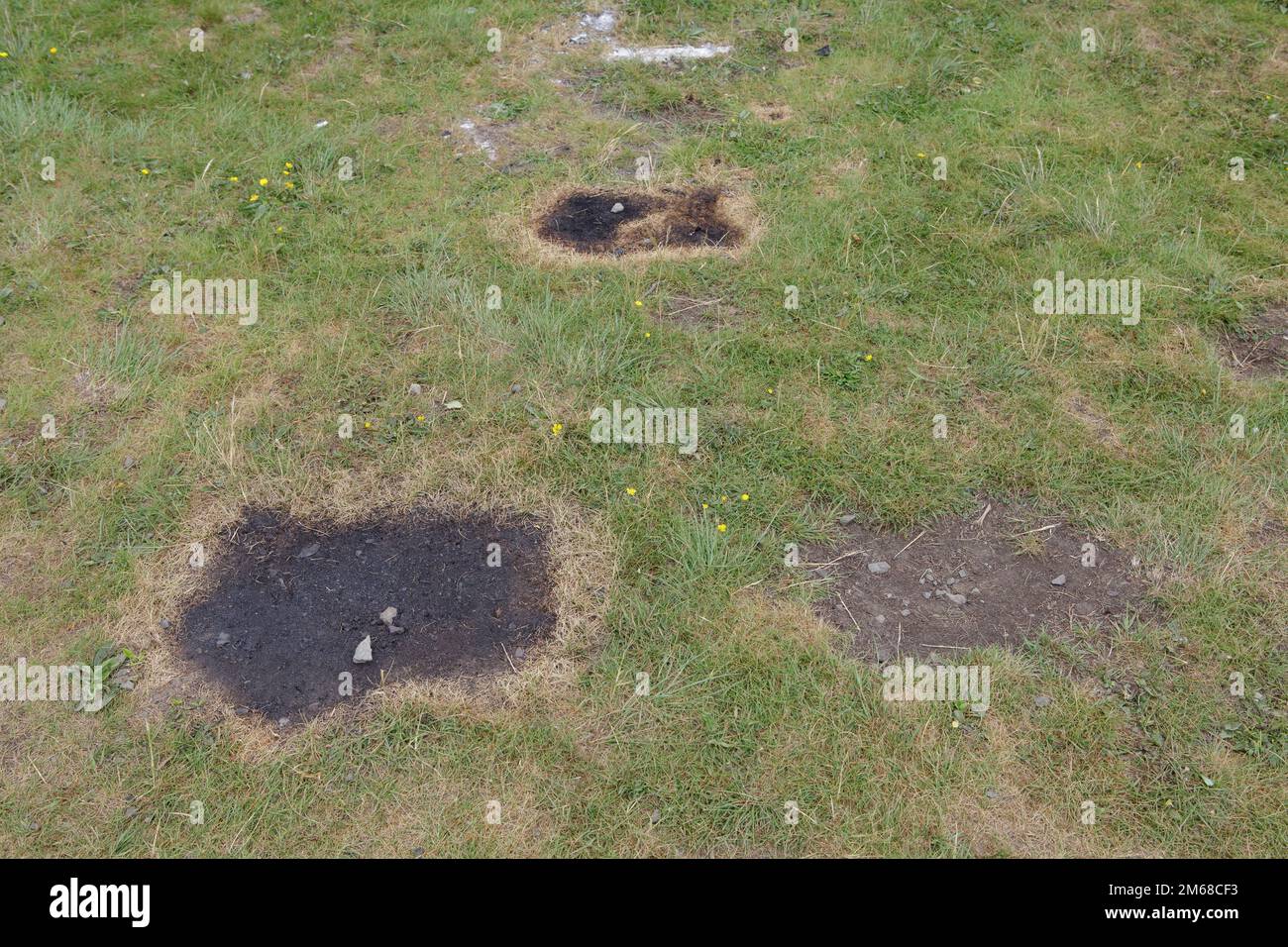 The burn marks left by disposable barbecues in a nature reserve by the ...