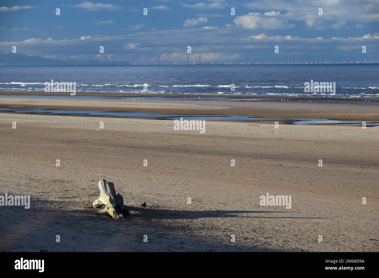 Final resting place on the beach for a fallen giant Stock Photo - Alamy