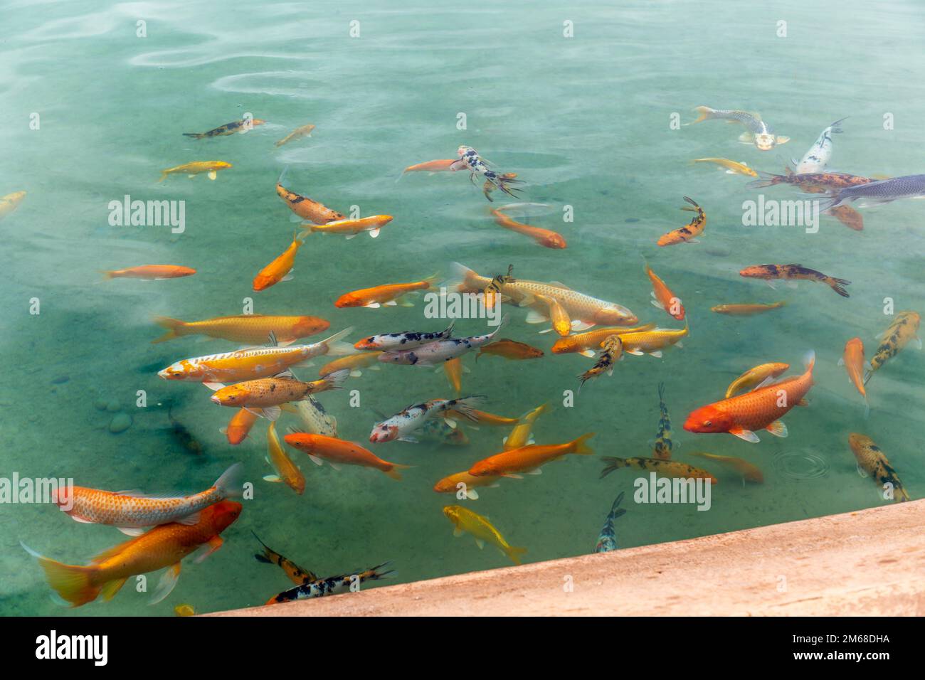 Palais Claudio Bravo, Taroudant, Sous Valley, Morocco, north Africa ...