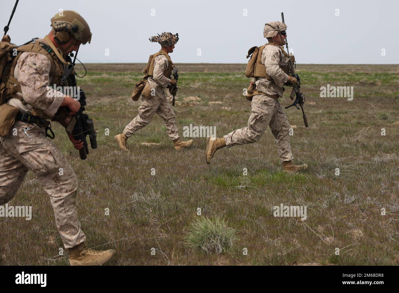 U.S. Marines with 1st Battalion, 7th Marine Regiment, 1st Marine ...