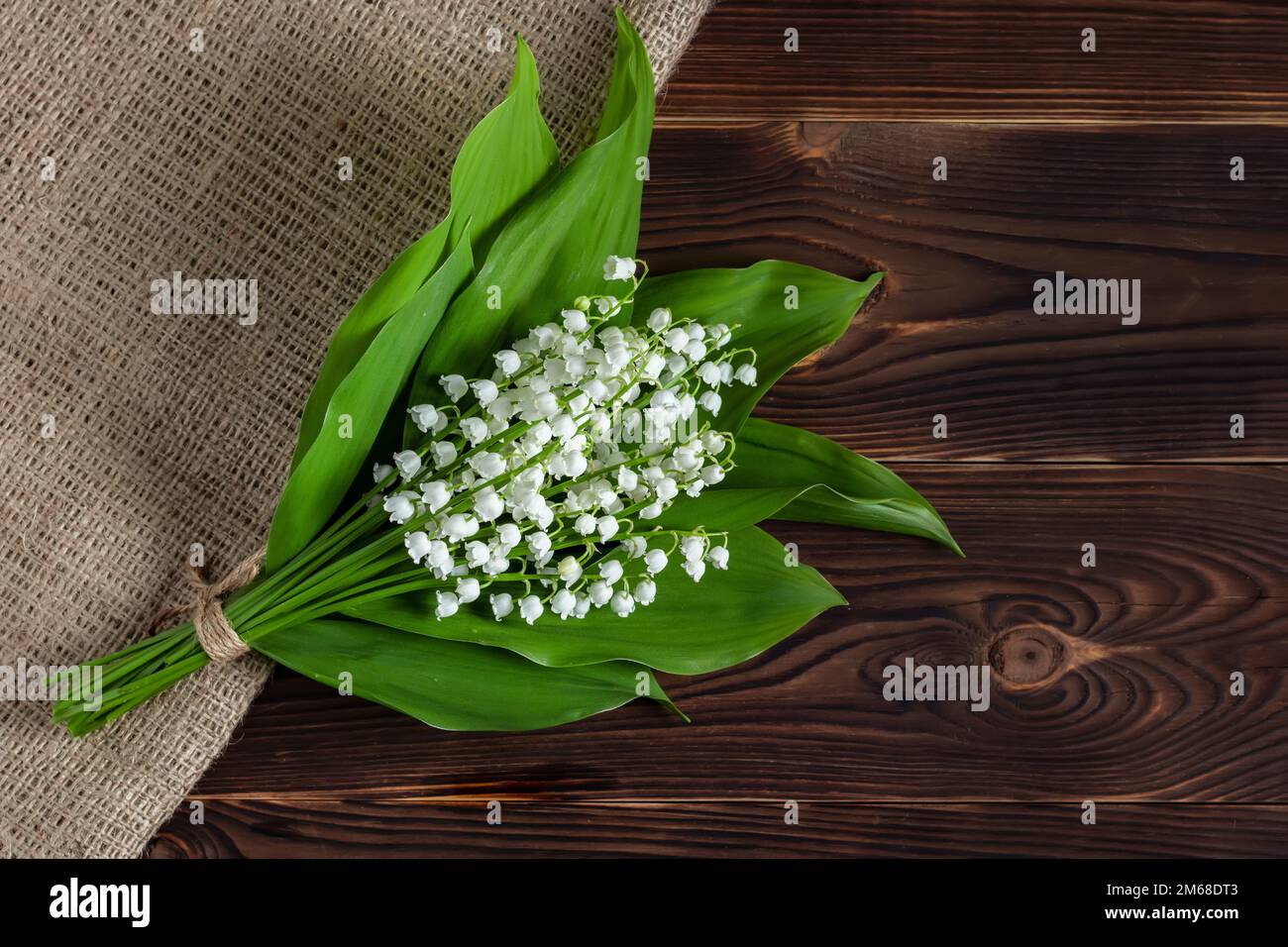 Small and fragrant spring flowers. Bouqet of lily of the valley flowers ...