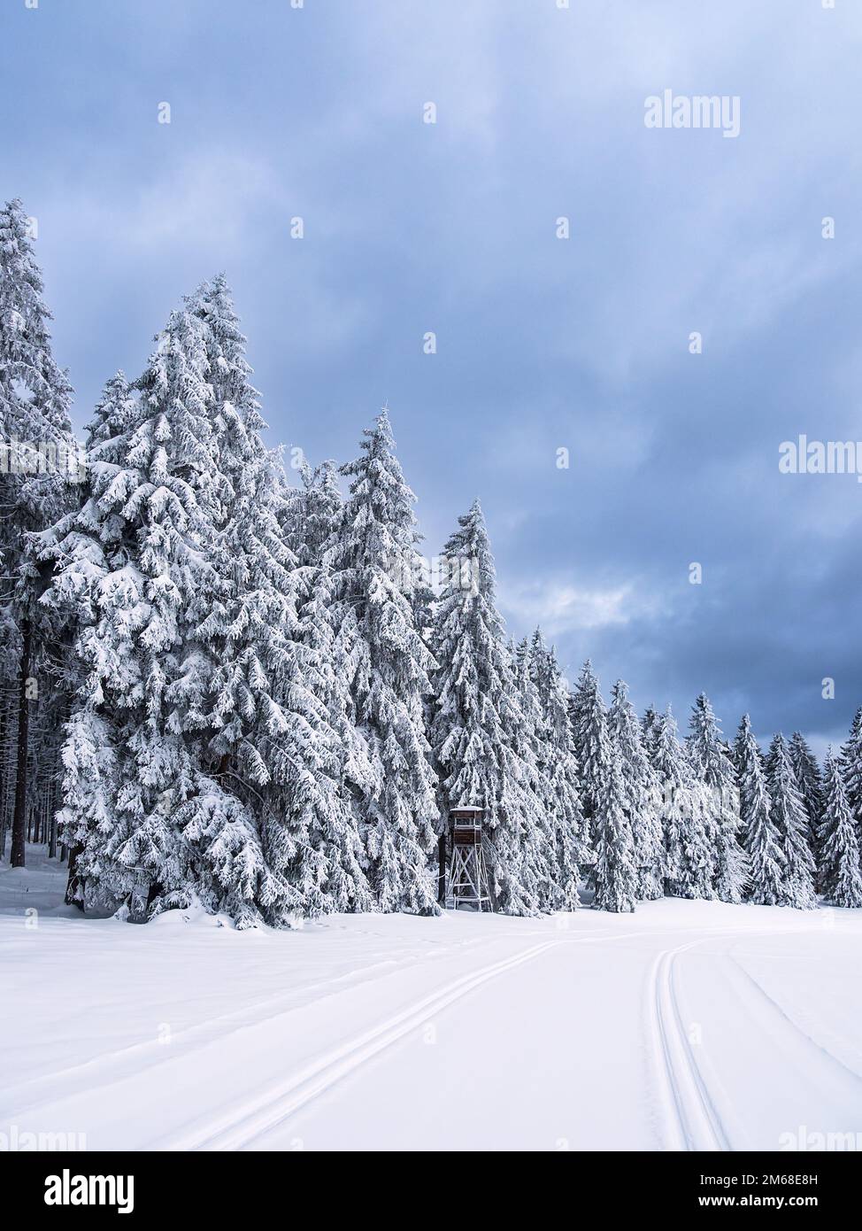 Landscape In Winter In Thuringian Forest Near Schmiedefeld Am Rennsteig ...