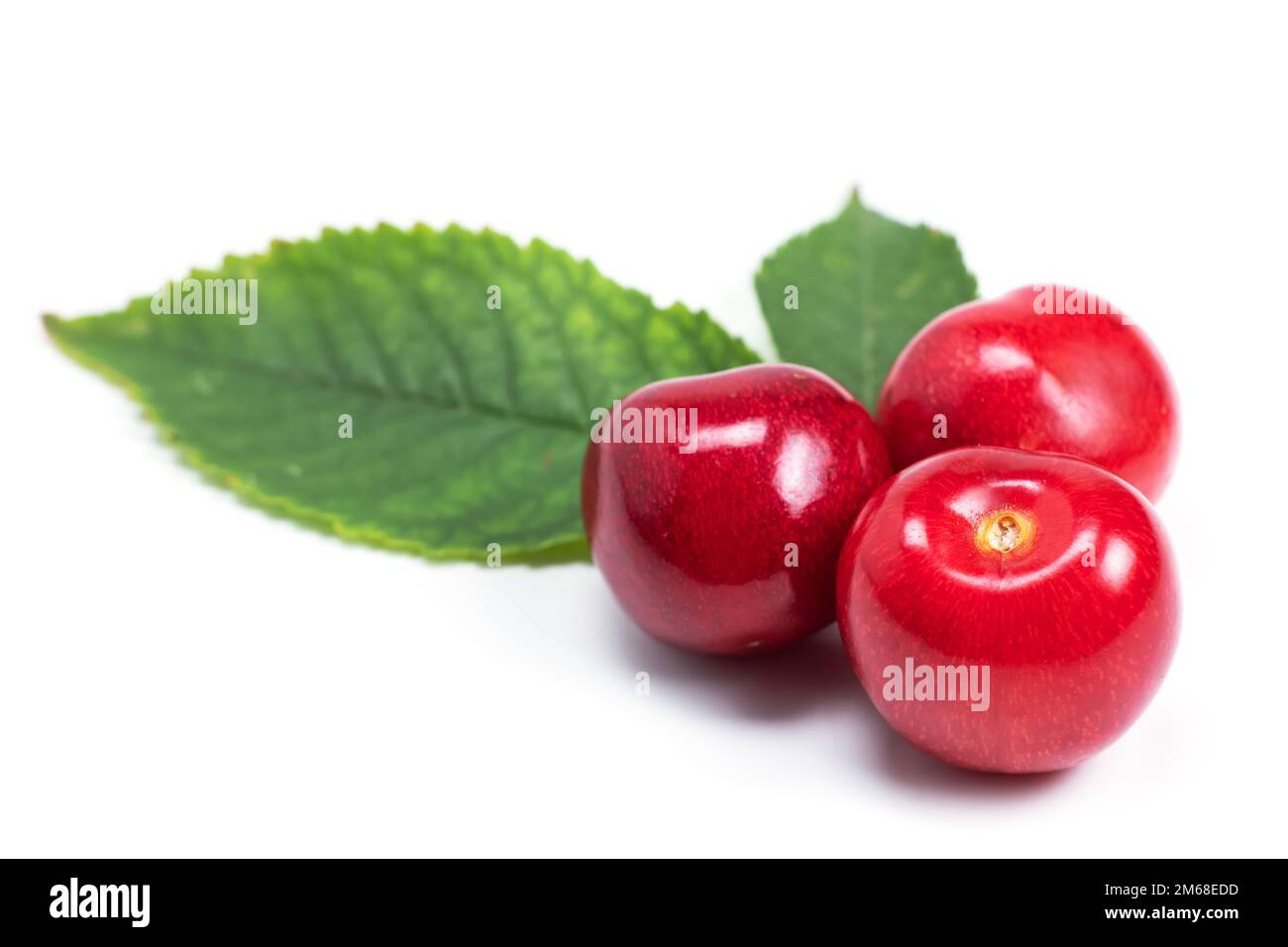 Three sweet cherries with cherry leaf isolated on a white background ...