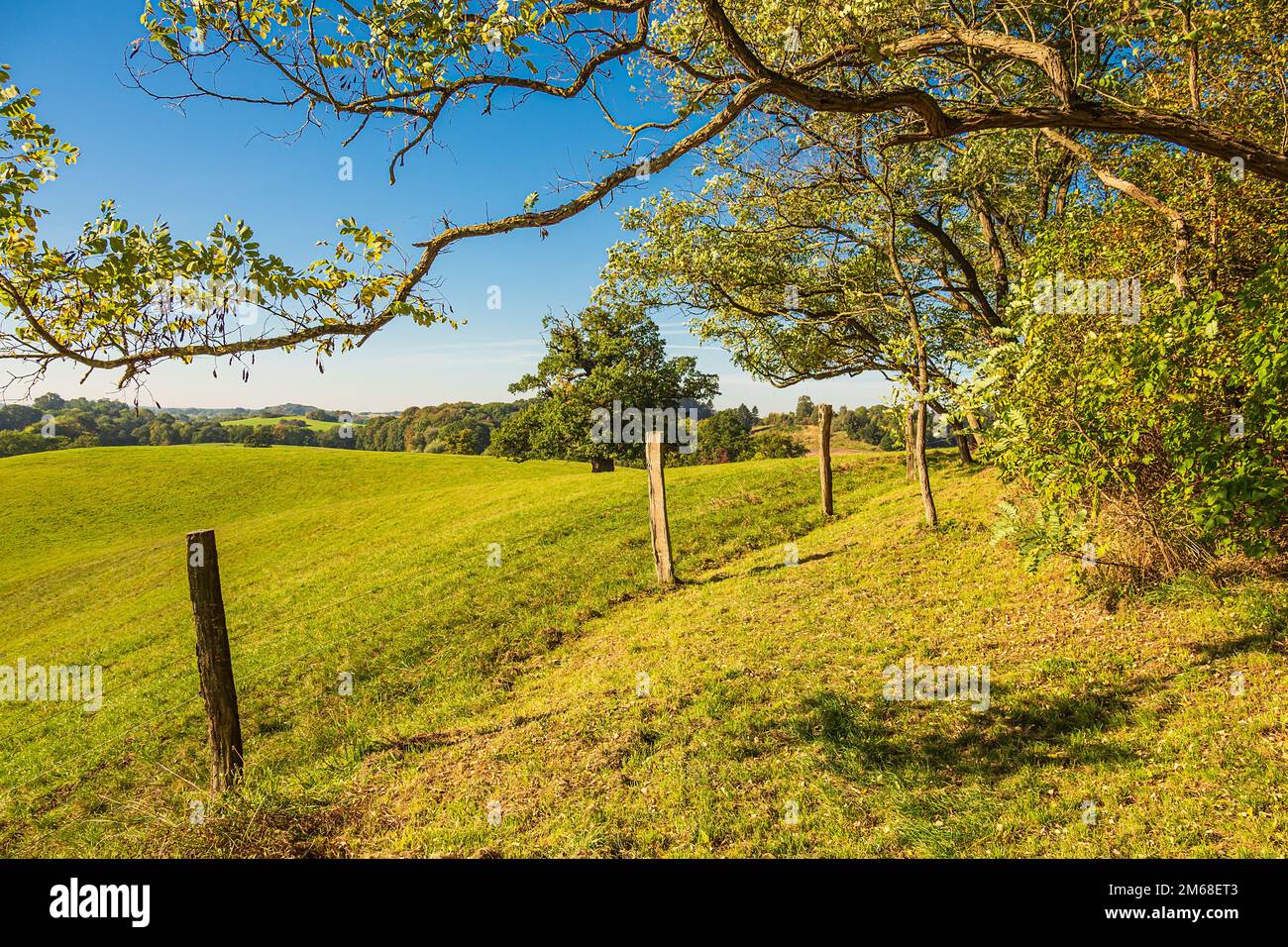 Landscape With Paddock And Trees Near Hohen Demzin Stock Photo - Alamy