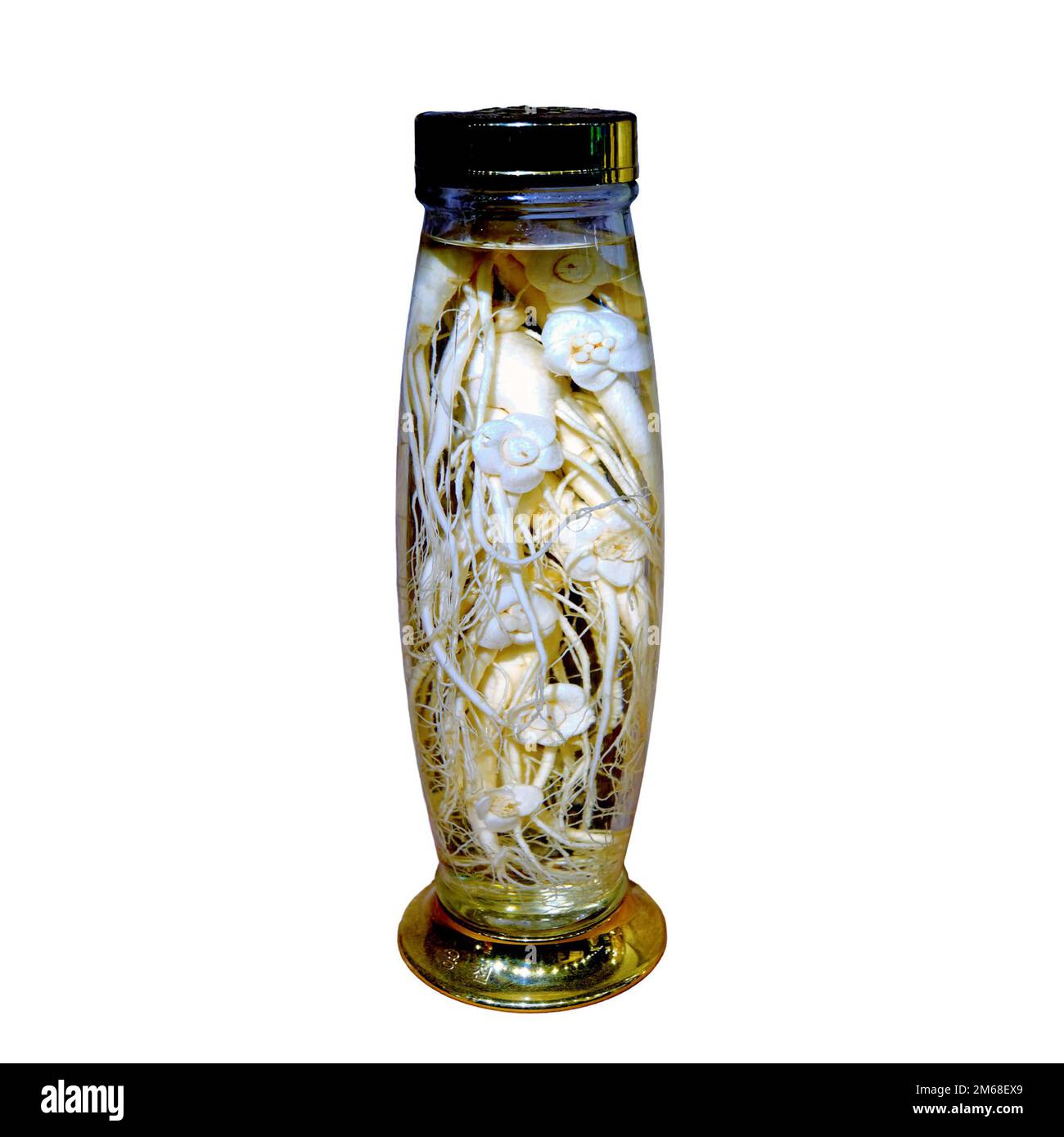 Ginseng root in a glass jar against a brick wall, isolated on a white ...