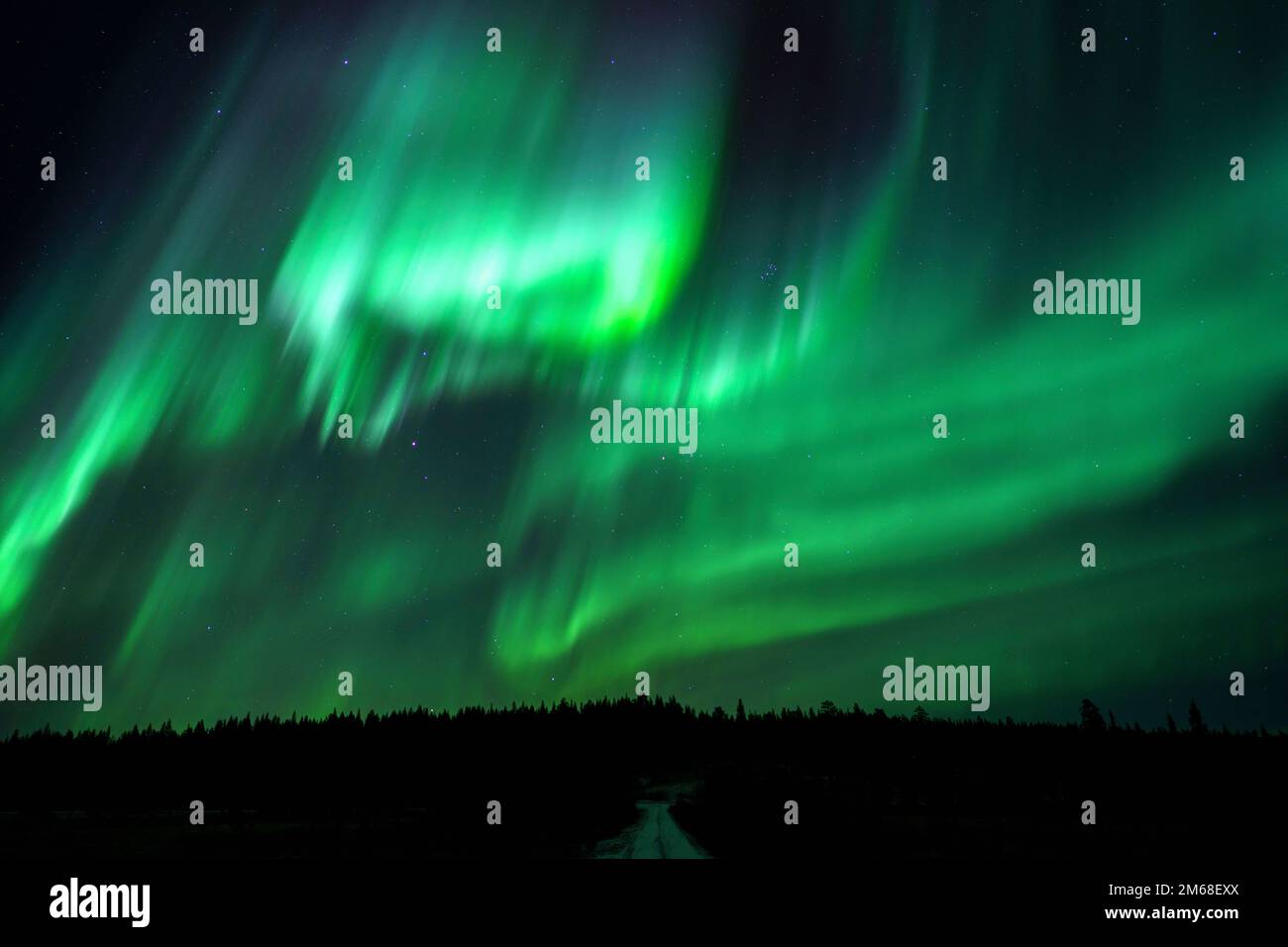 Colorful Northern light, Aurora borealis , Gällivare, Swedish Lapland, Sweden Stock Photo - Alamy