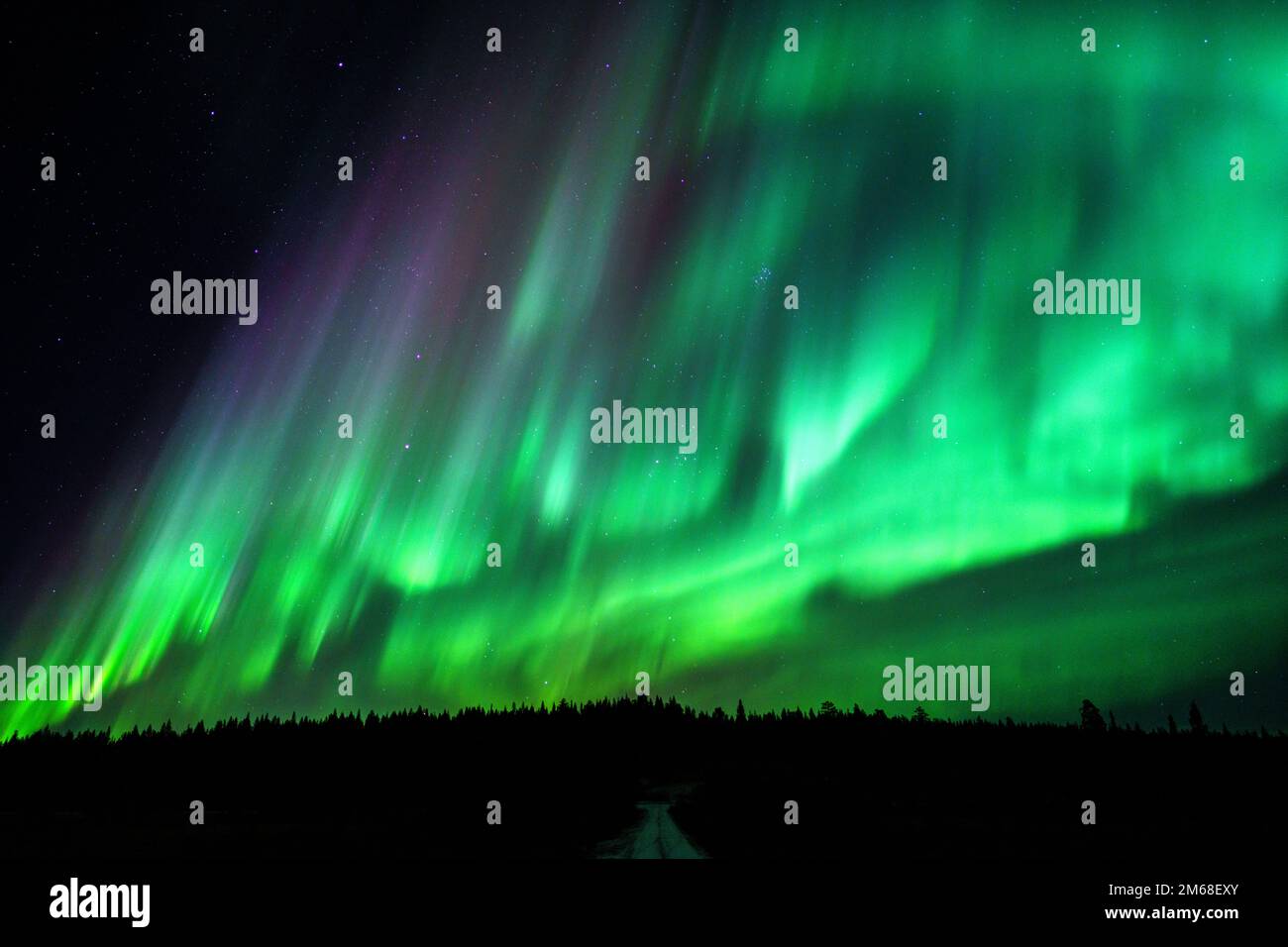 Colorful Northern light, Aurora borealis , Gällivare, Swedish Lapland ...