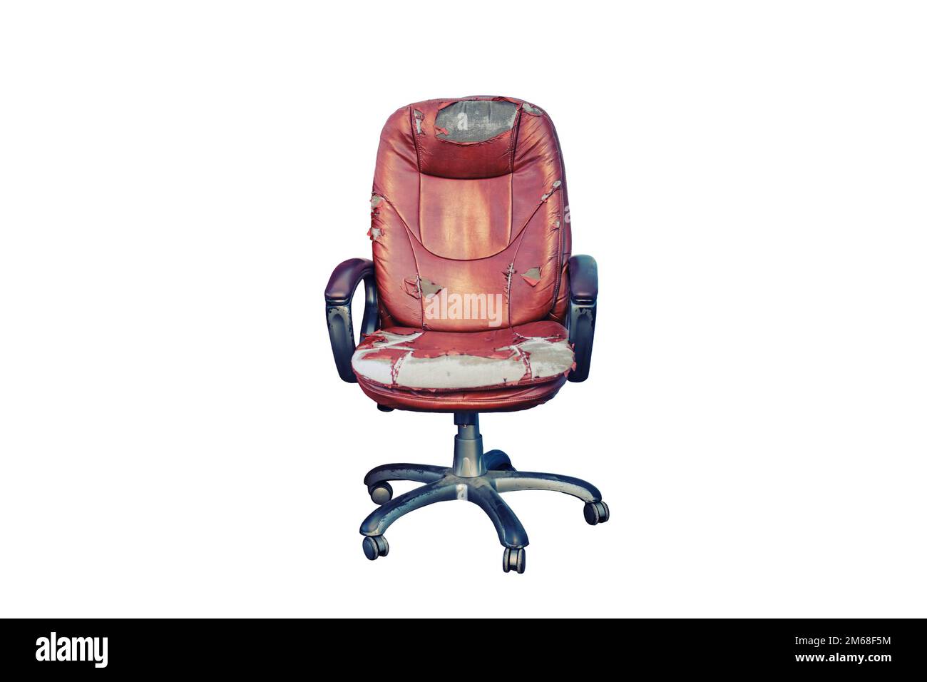 Abandoned office plant Cut Out Stock Images & Pictures - Alamy