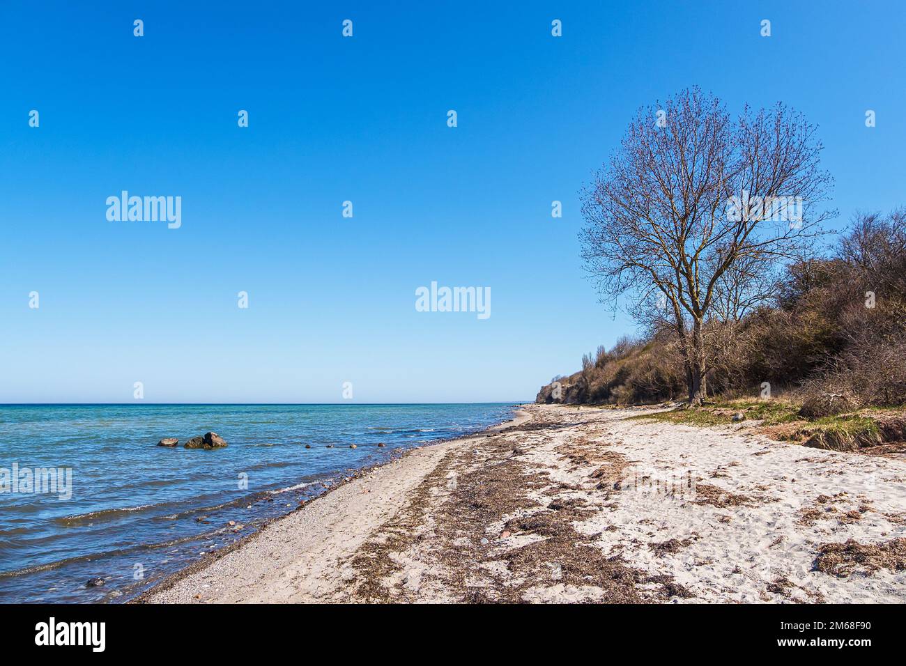 Beach On The Coast Of The Baltic Sea On The Island Of Poel Stock Photo ...