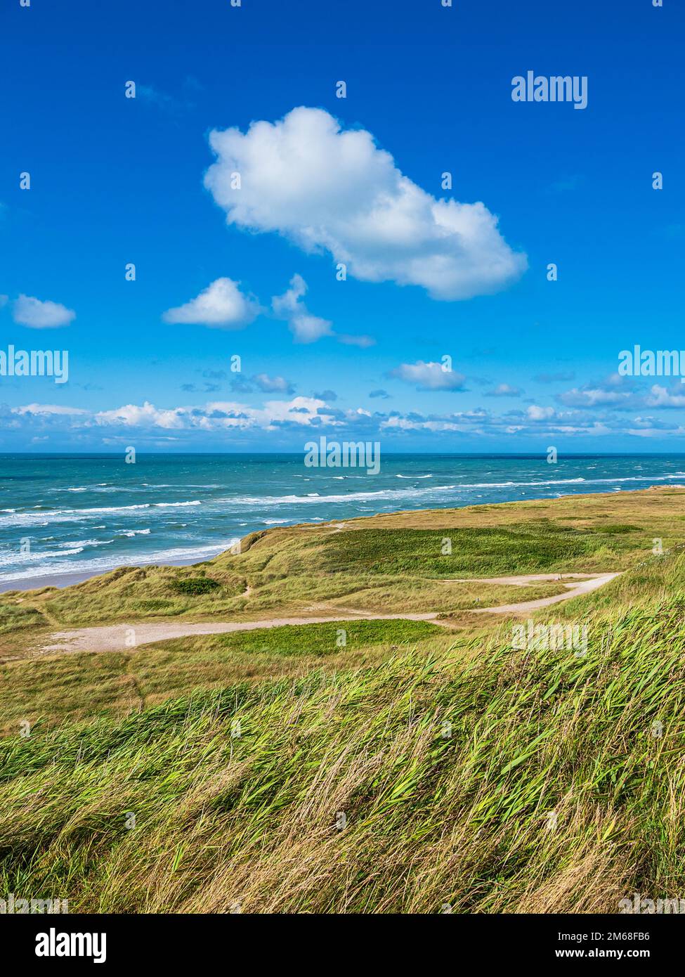 Schne 9850 Hirtshals Dnemark Bild