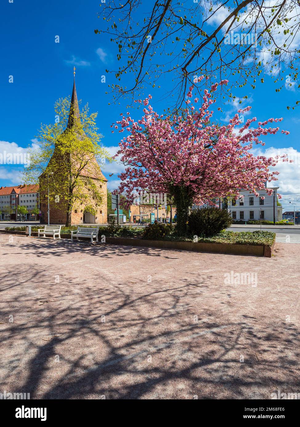 Zentrum rose hi-res stock photography and images - Alamy