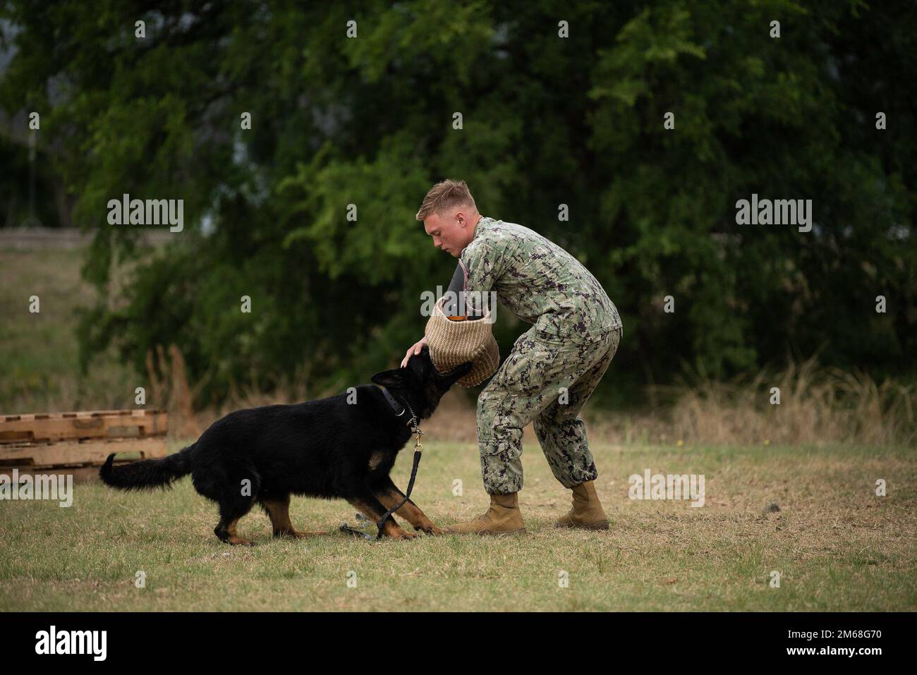 Seaman Jonathan Glynn, Master at Arms, demonstrates Military Working ...