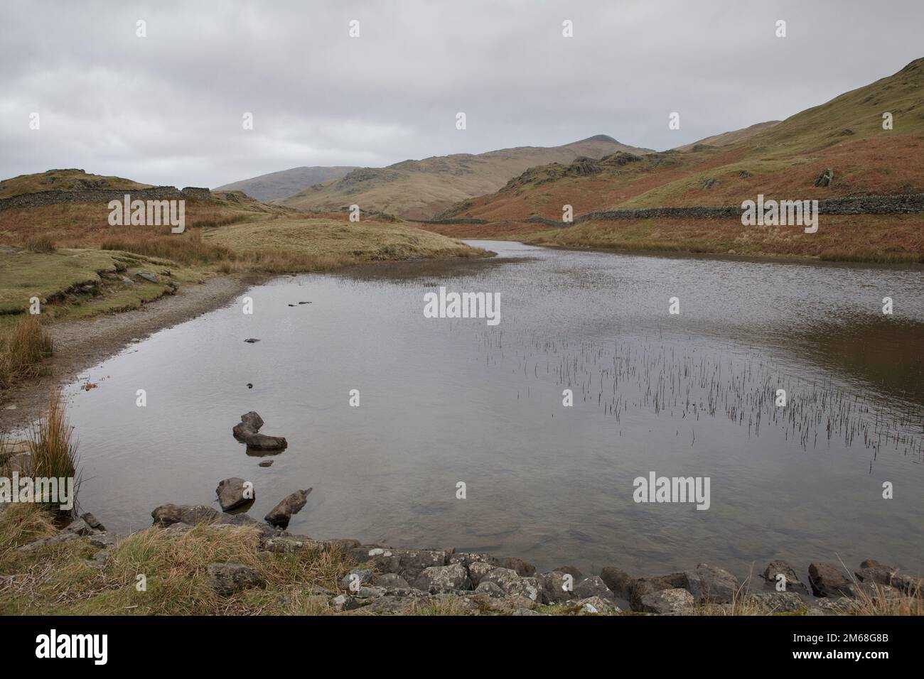 Alcock Tarn is a high mountain tarn and a short walk from Grasmere in ...