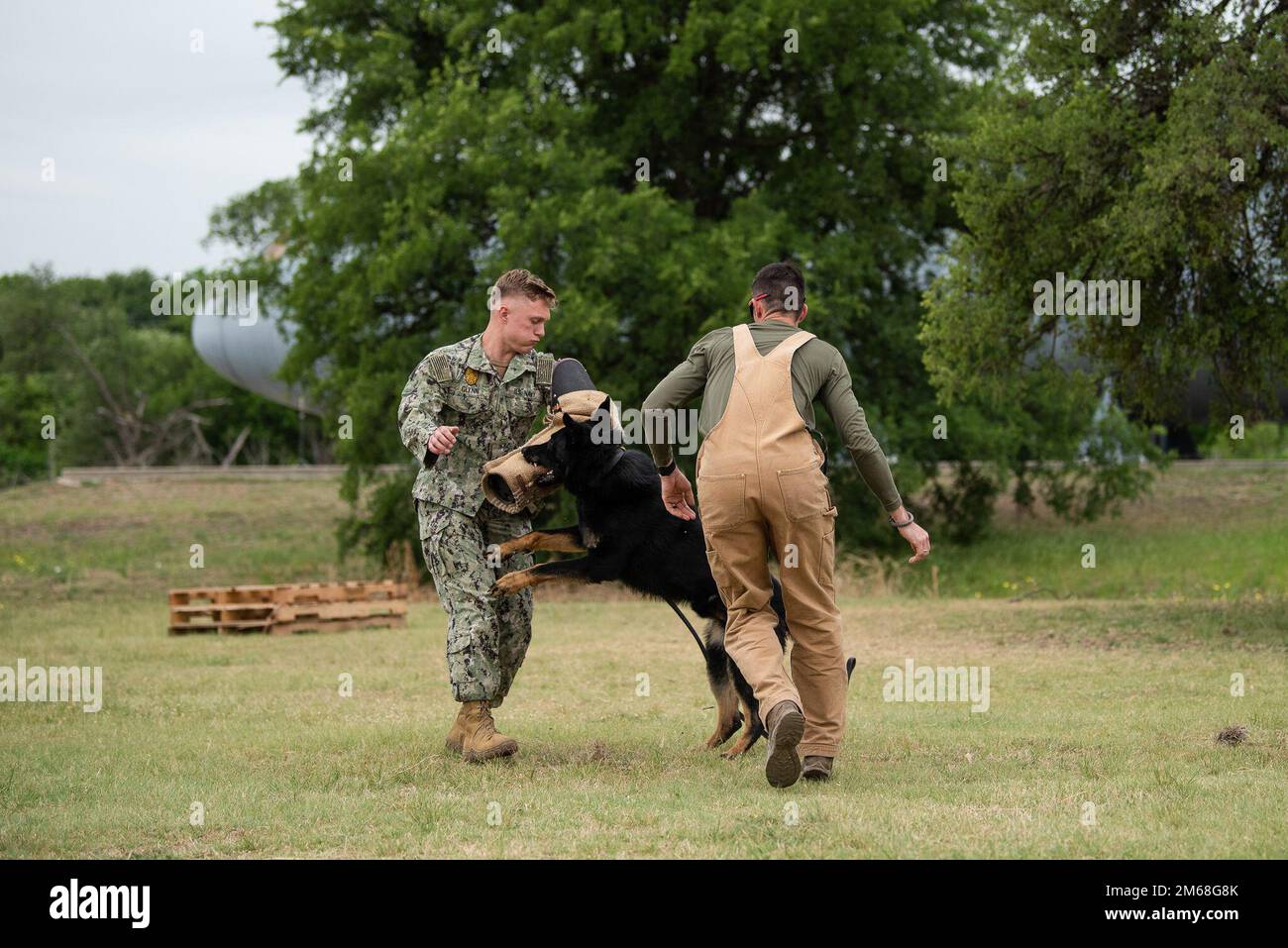 Seaman Jonathan Glynn, Master at Arms, and Tech. Sgt. John Whisman ...