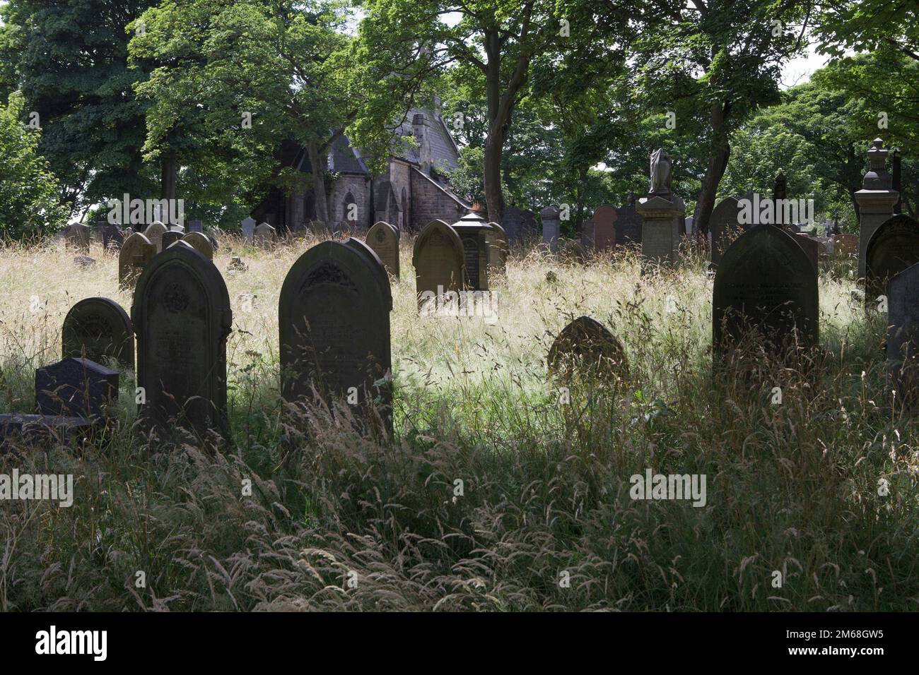 Sunderland City Council have expanded their no mow scheme to parts of ...