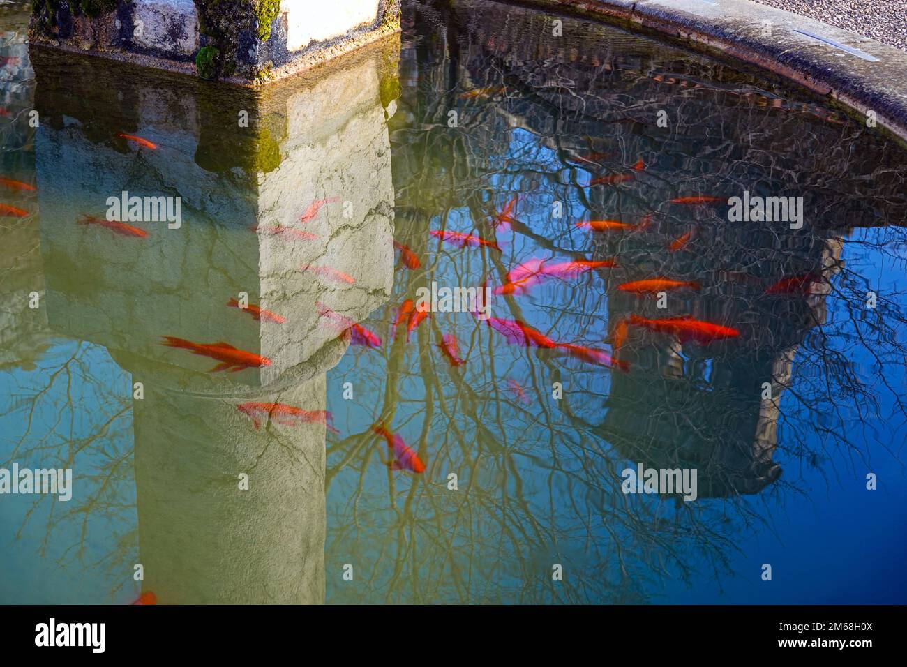 Fountain with goldfish in The small village and castle at Roqefixade ...
