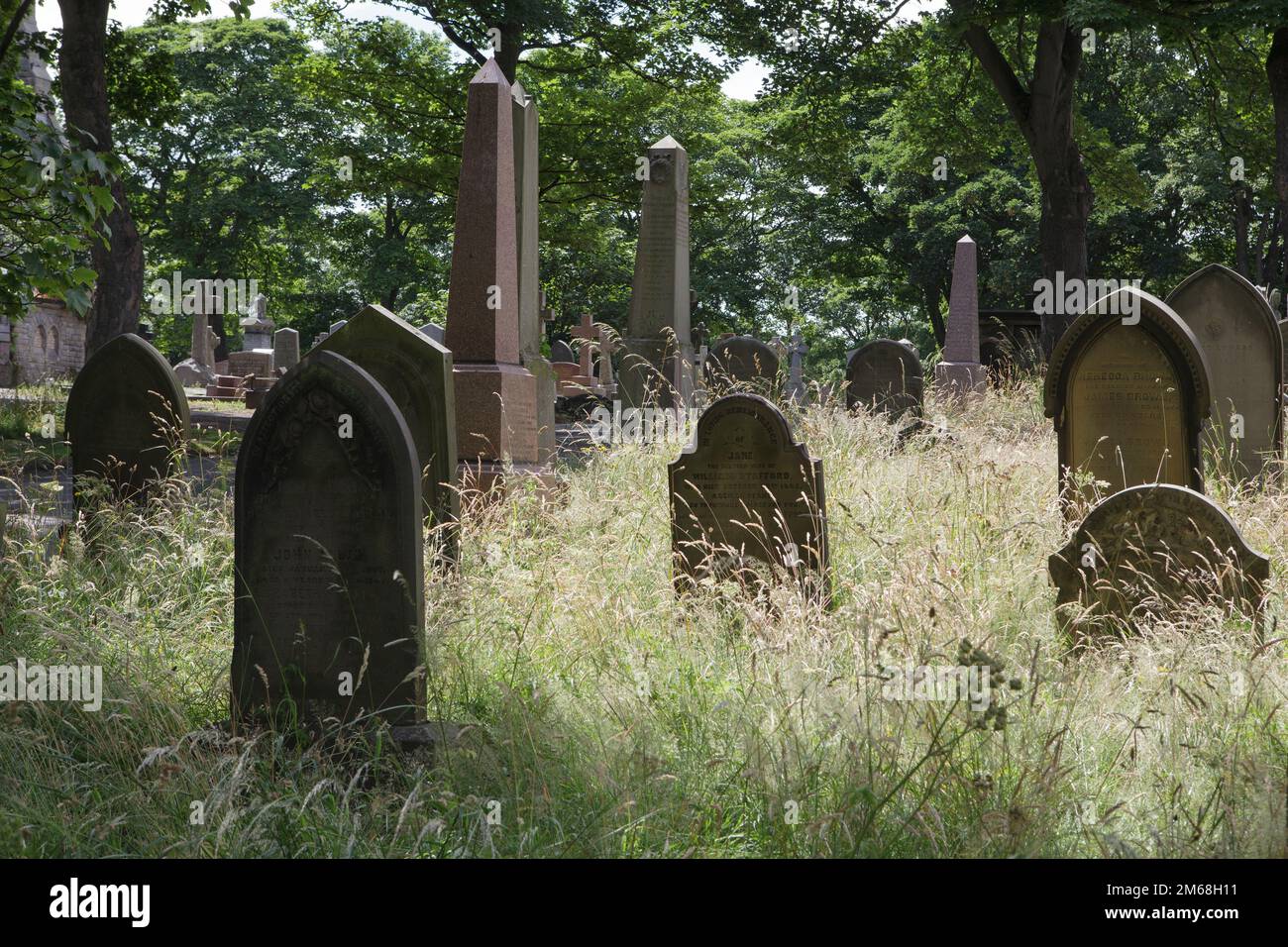 Sunderland City Council have expanded their no mow scheme to parts of ...
