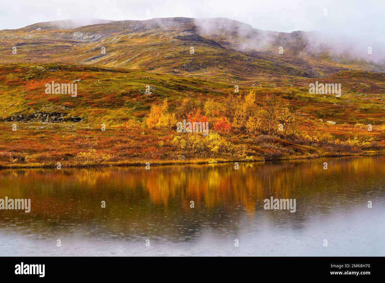 Autumn season in Björkliden, small lake with trees and mountain ...