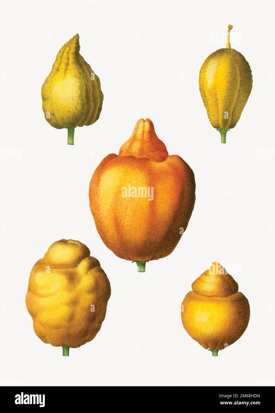 Various historical Stock Vector Images - Alamy