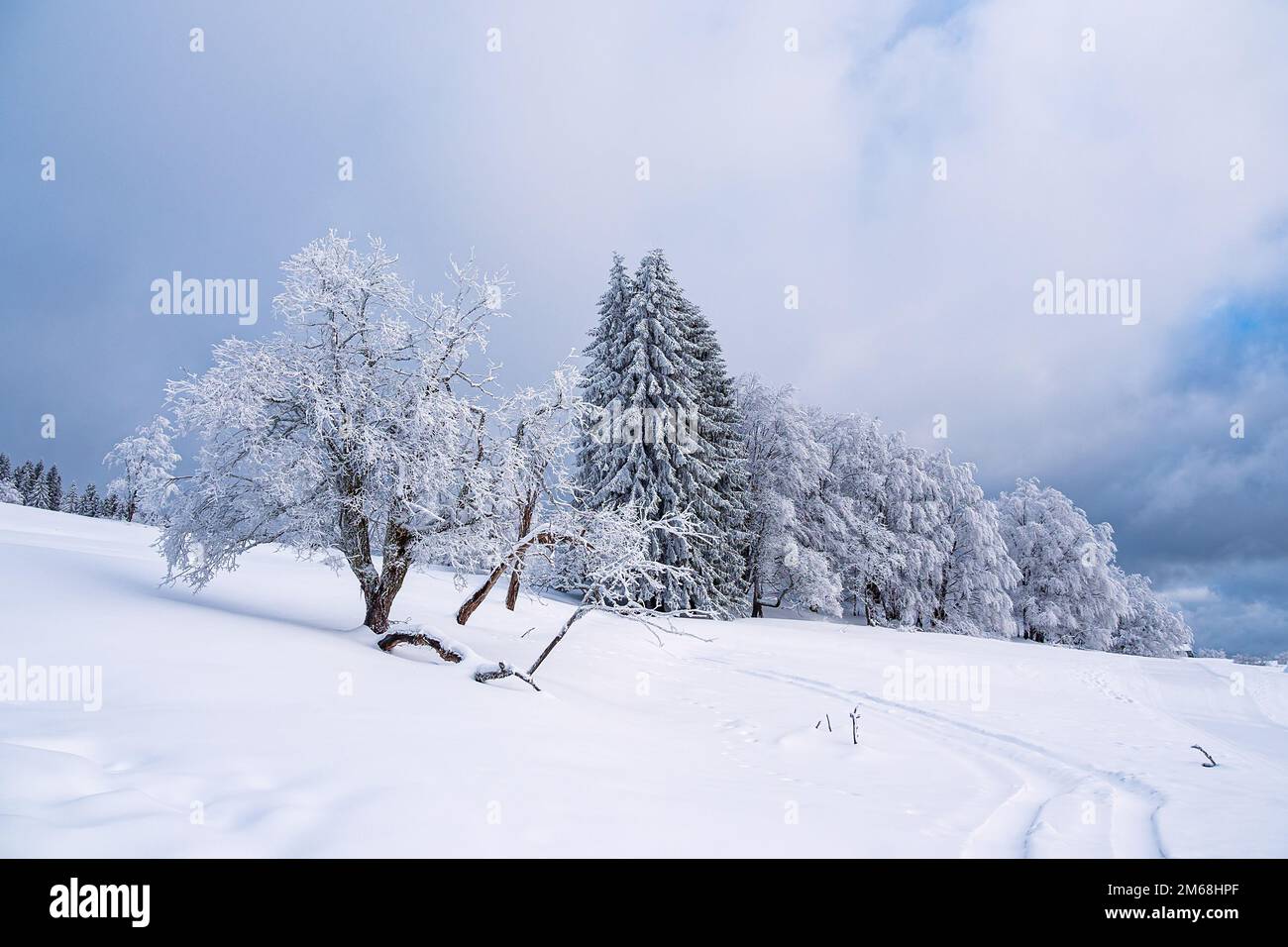 Landscape In Winter In Thuringian Forest Near Schmiedefeld Am Rennsteig ...