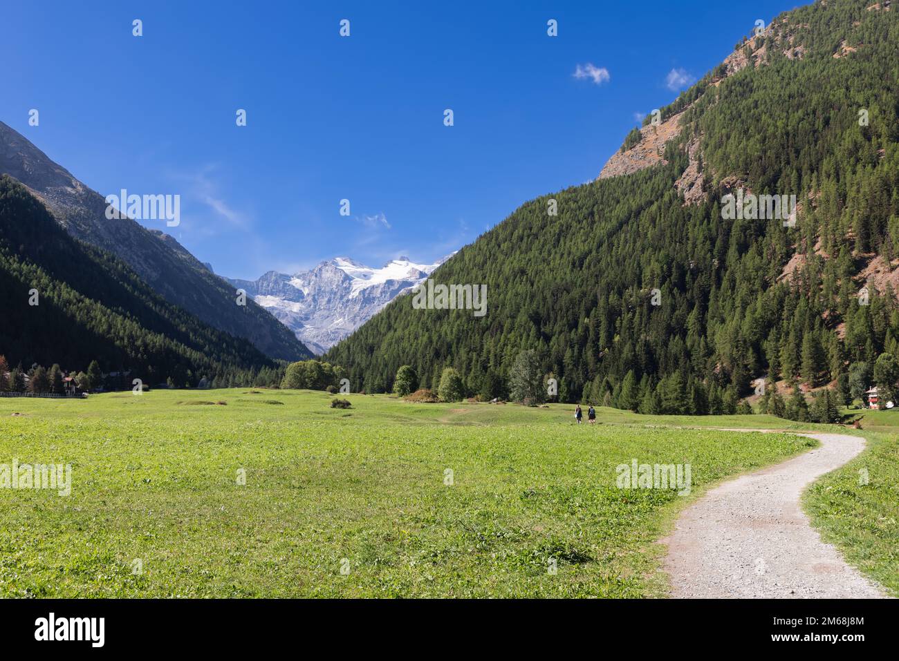 Tourists walk along the path on the famous Alpine Saint Orso meadow ...