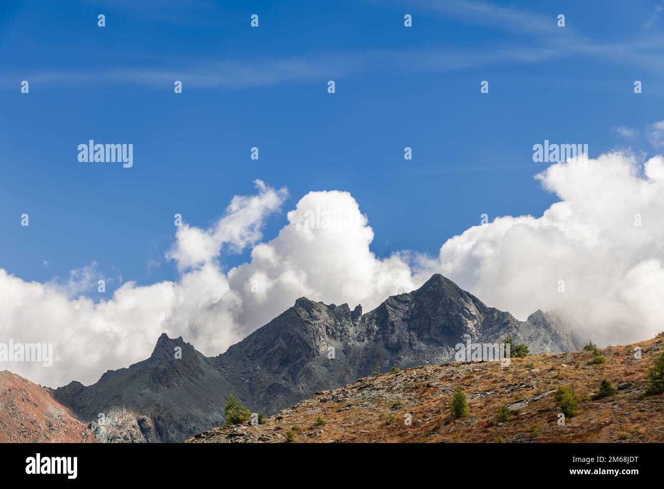 Granite rocks with yellowed autumn moss in foreground, on horizon black ...