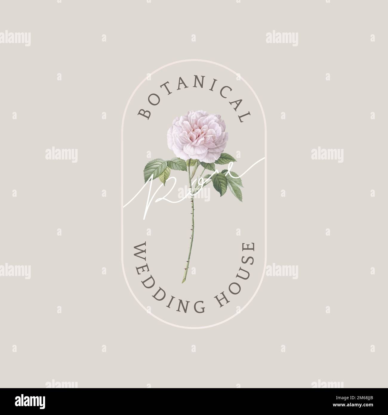 Botanical rose wedding house vector Stock Vector Image & Art - Alamy