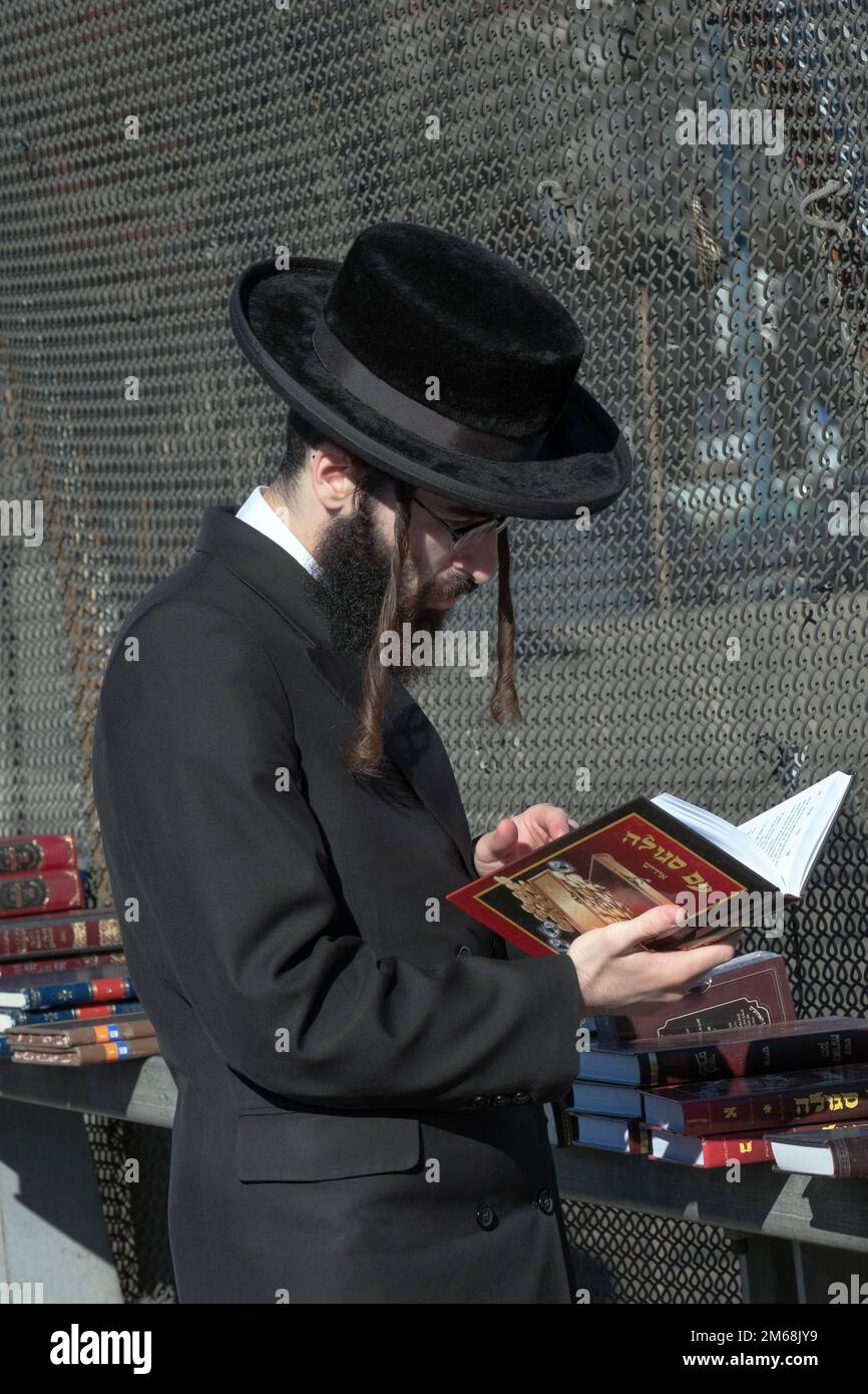 An orthodox Jewish man with long curly peyot browses at a book sale In ...