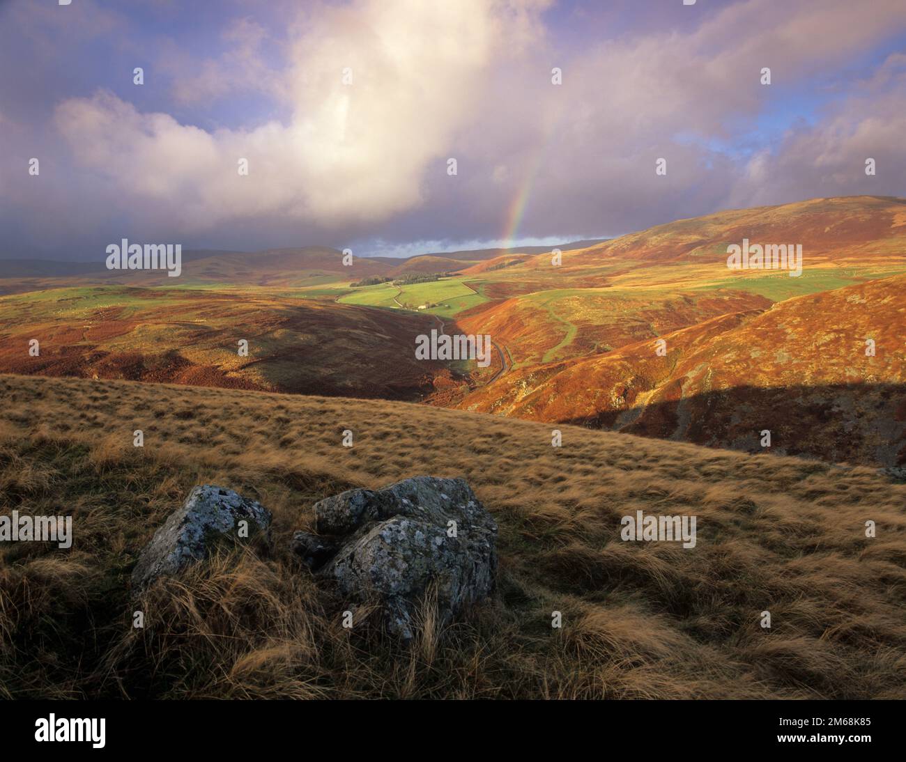 Looking towards Linhope in the Cheviot Hills from Brough Law Hillfort ...