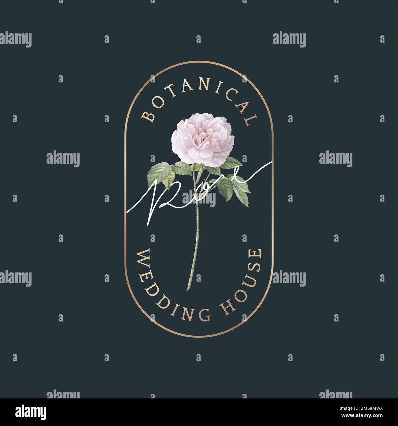 Botanical rose wedding house vector Stock Vector Image & Art - Alamy