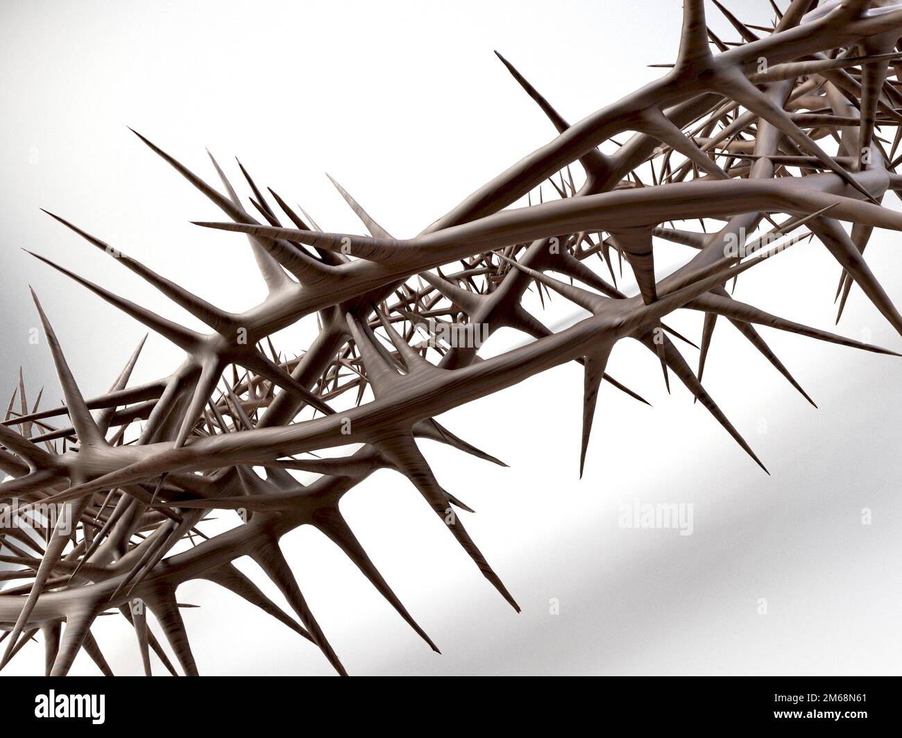 Branches of thorns woven into a crown depicting the crucifixion - 3D ...