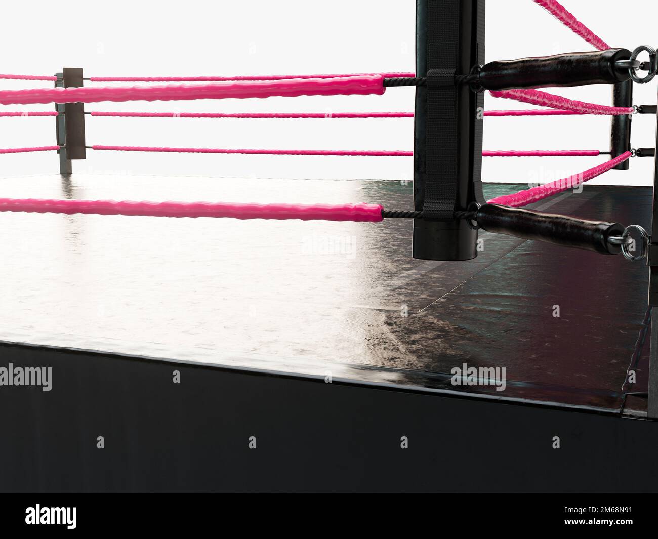 A modern oversized wrestling ring with pink ropes and a black canvas ...
